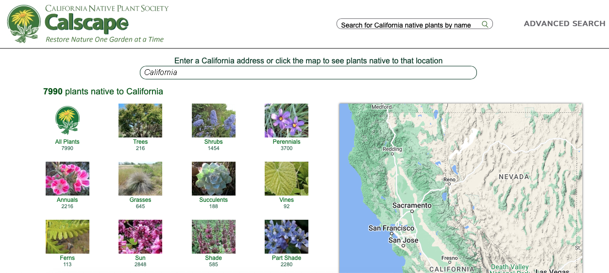 Design With Native Plants - Montgomery Robbins, Inc.
